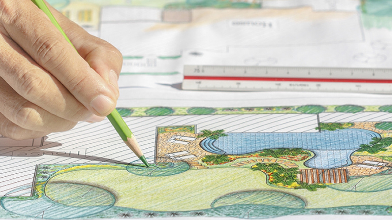 Landscape Design I: The Basics